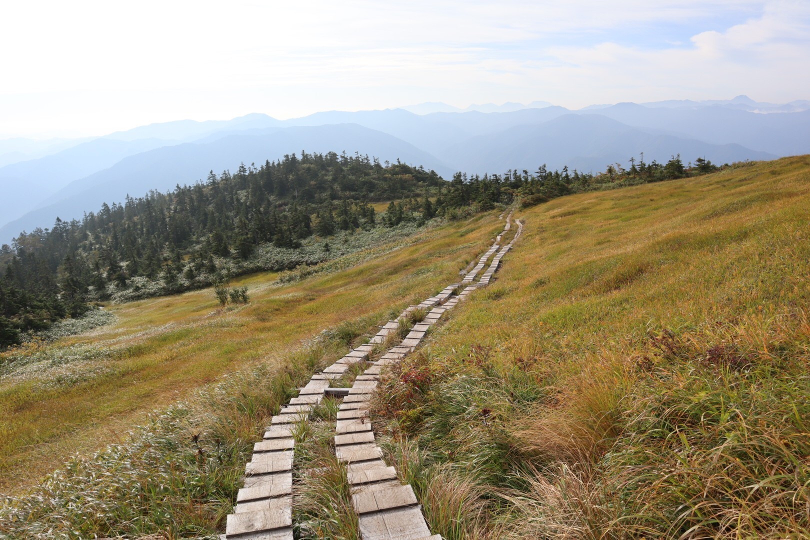中門岳・会津駒ヶ岳 / chiakiさんの会津駒ヶ岳の活動データ | YAMAP / ヤマップ