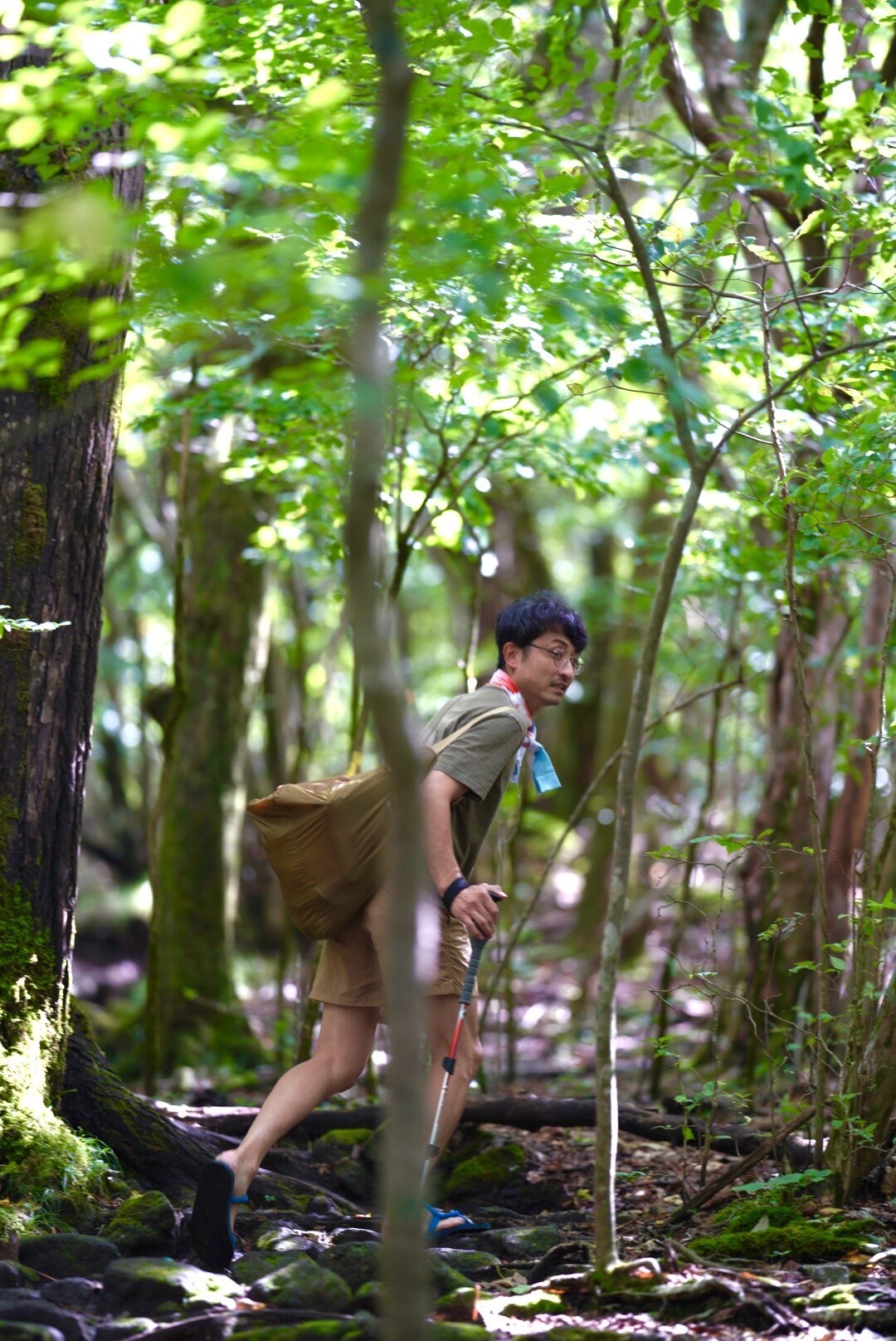 九重山（久住山）・大船山・星生山-2022-09-14 / ryoさんの九重山（久住山）・大船山・星生山の活動データ | YAMAP / ヤマップ