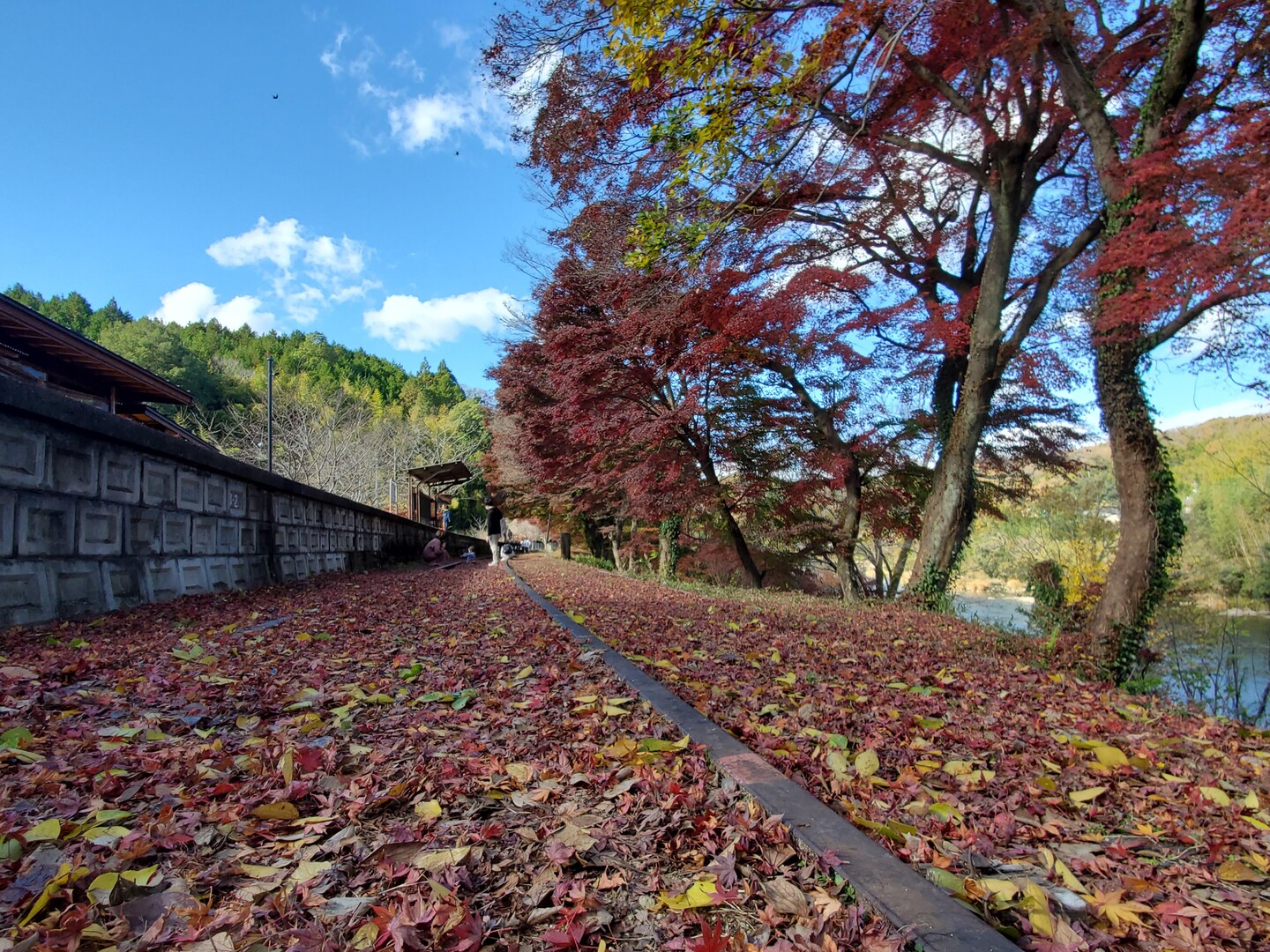 2020.11.23（3年前の今日） 豊... / airiskochanさんのモーメント | YAMAP / ヤマップ