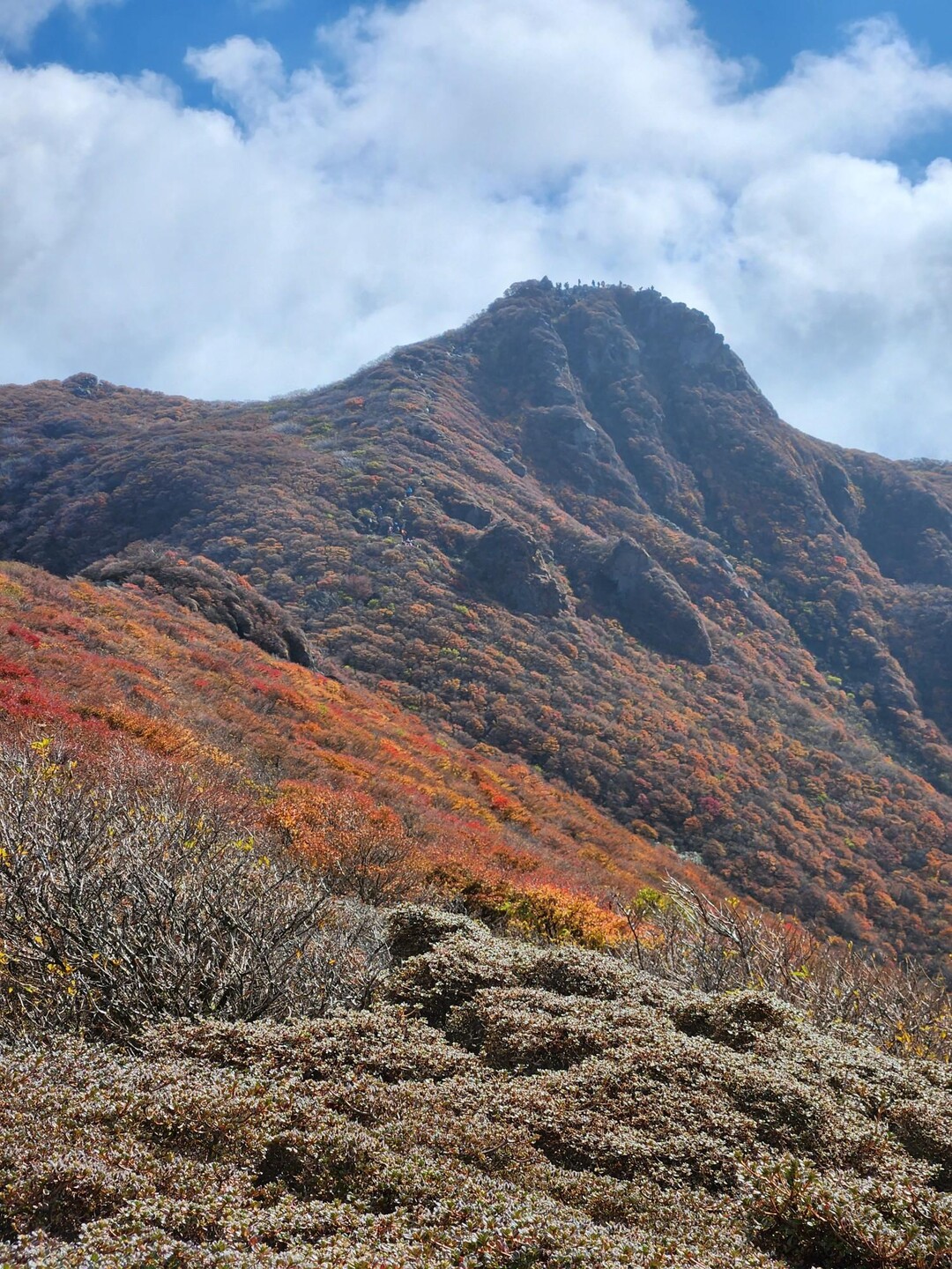 大船山 / Nさんの九重山（久住山）・大船山・星生山の活動日記 | YAMAP / ヤマップ