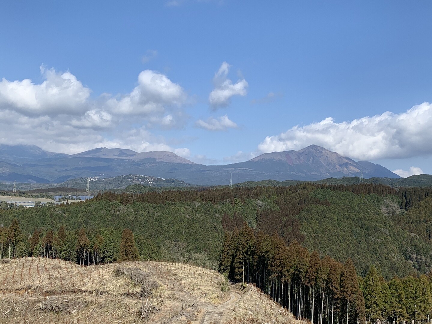 虎ヶ尾岡 / Roseさんの霧島市 中央エリアの活動データ | YAMAP / ヤマップ