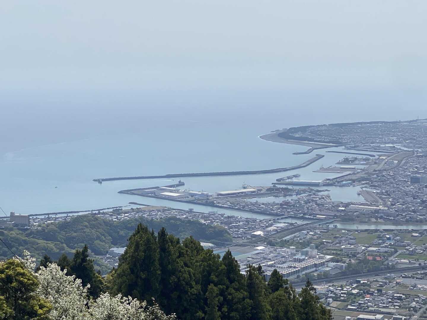 満観峰 高草山 / mahmoさんの焼津アルプス（高草山・満観峰・花沢山）・徳願寺山の活動データ | YAMAP / ヤマップ