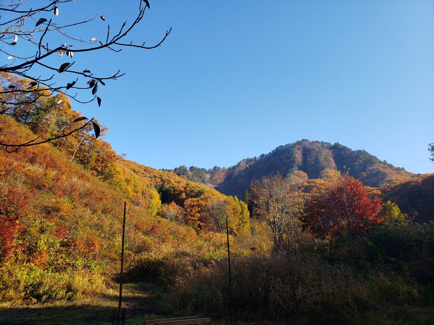 唐倉山(南会津3連登最終日) / Kichyさんの唐倉山の活動データ | YAMAP / ヤマップ