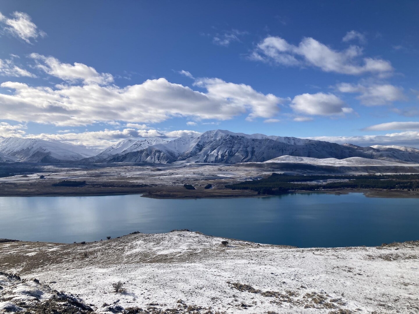 🇳🇿Mt.John / あかりさんのウォーキングの活動データ | YAMAP / ヤマップ