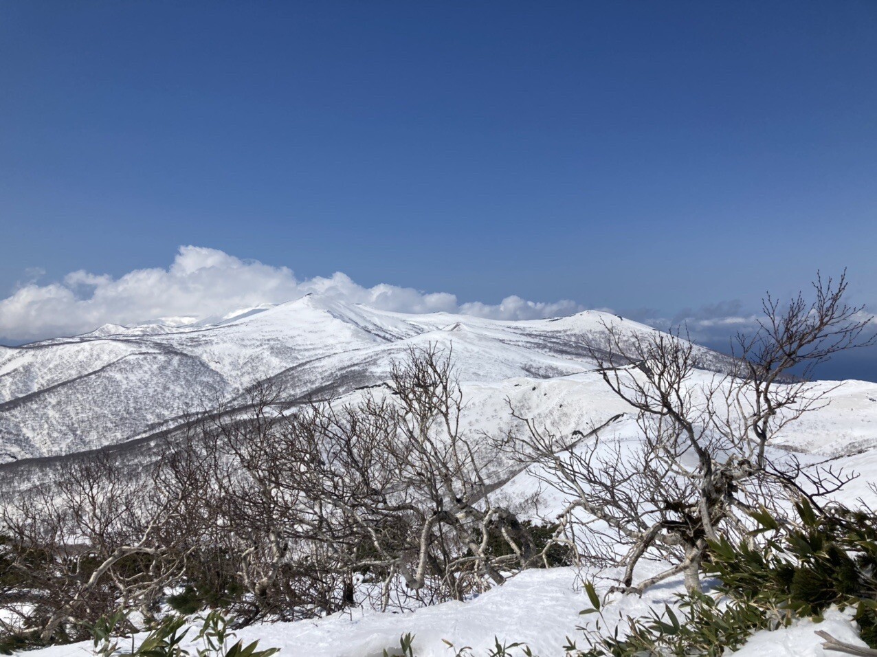 832m峰・チセヌプリ・シャクナゲ岳🗻 / さおりんさんのニセコアンヌプリ・イワオヌプリ・チセヌプリの活動データ | YAMAP / ヤマップ