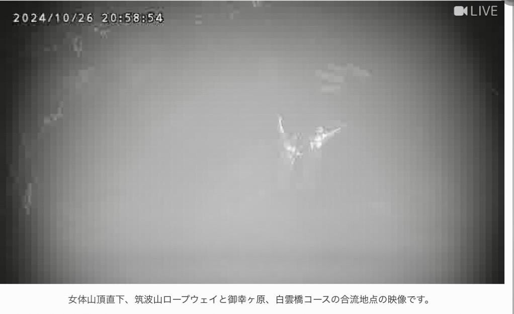 ココダヨ / かずさんのモーメント | YAMAP / ヤマップ