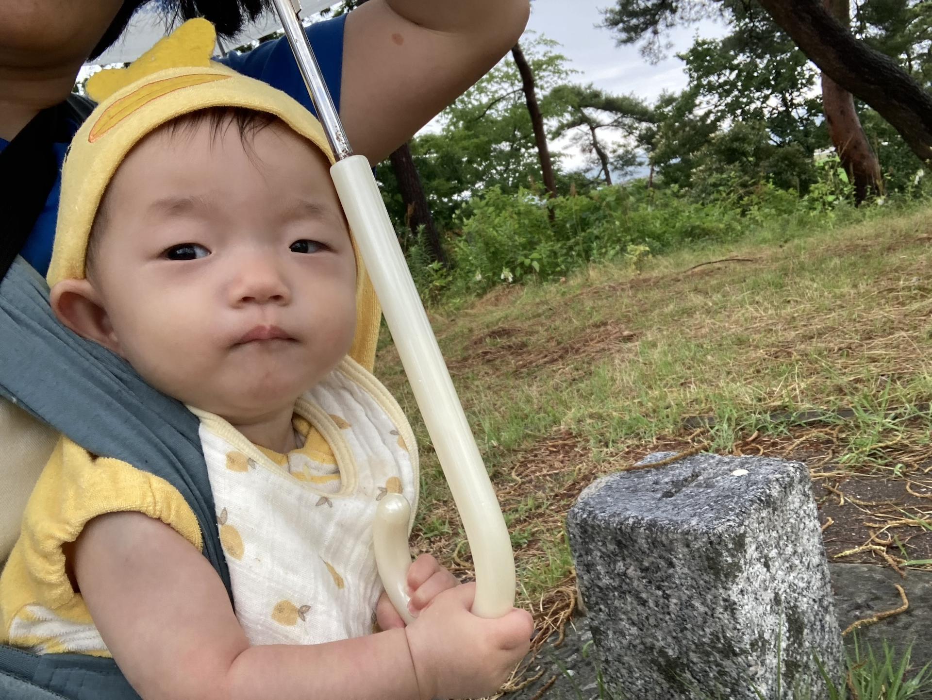 三女とお山歩：園家山 / せんさんの園家山の活動データ | YAMAP / ヤマップ