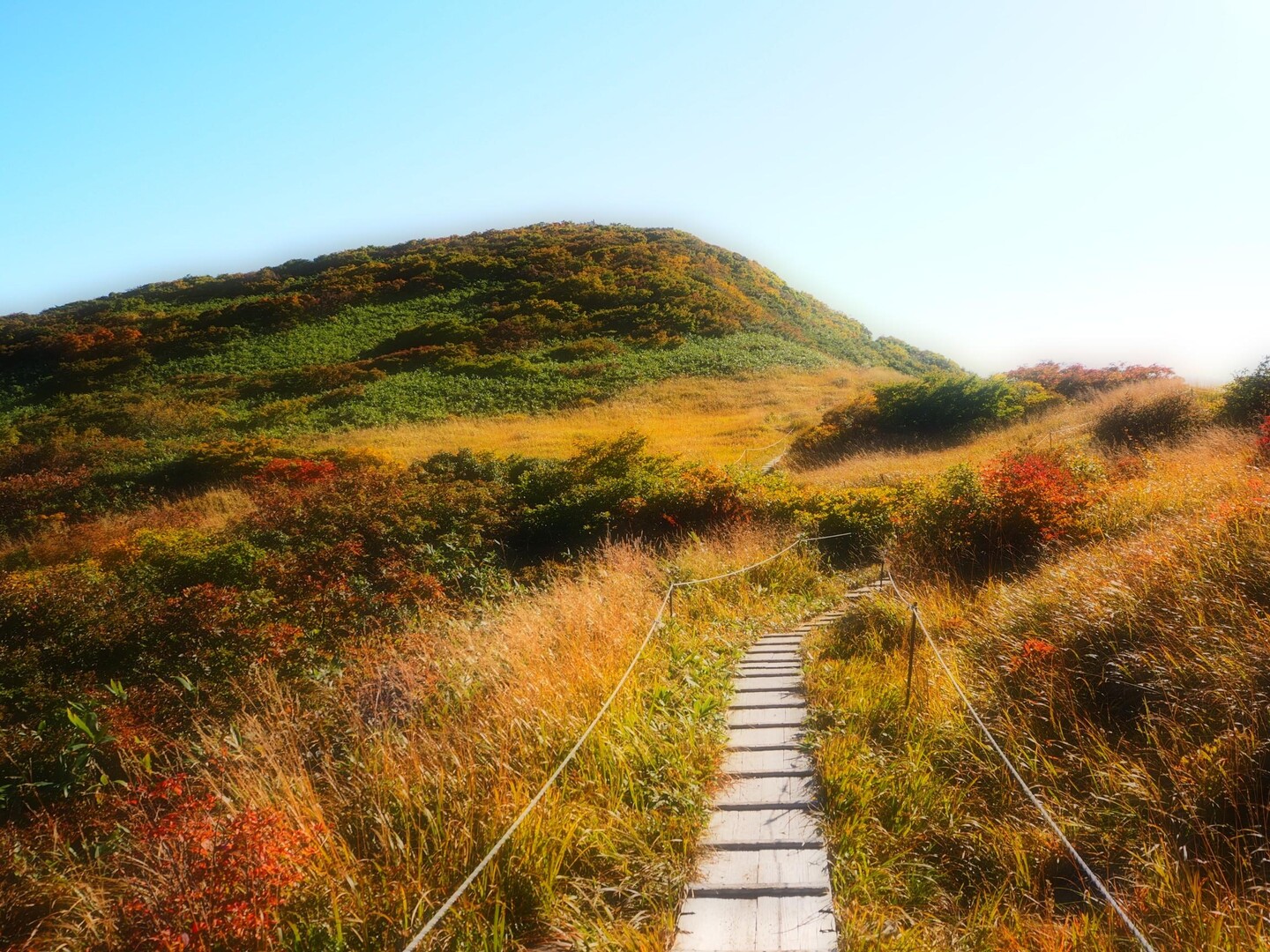 紅葉直前 浅草岳 / 天ぷらケンジJyJyさんの浅草岳・鬼ヶ面山の活動データ | YAMAP / ヤマップ