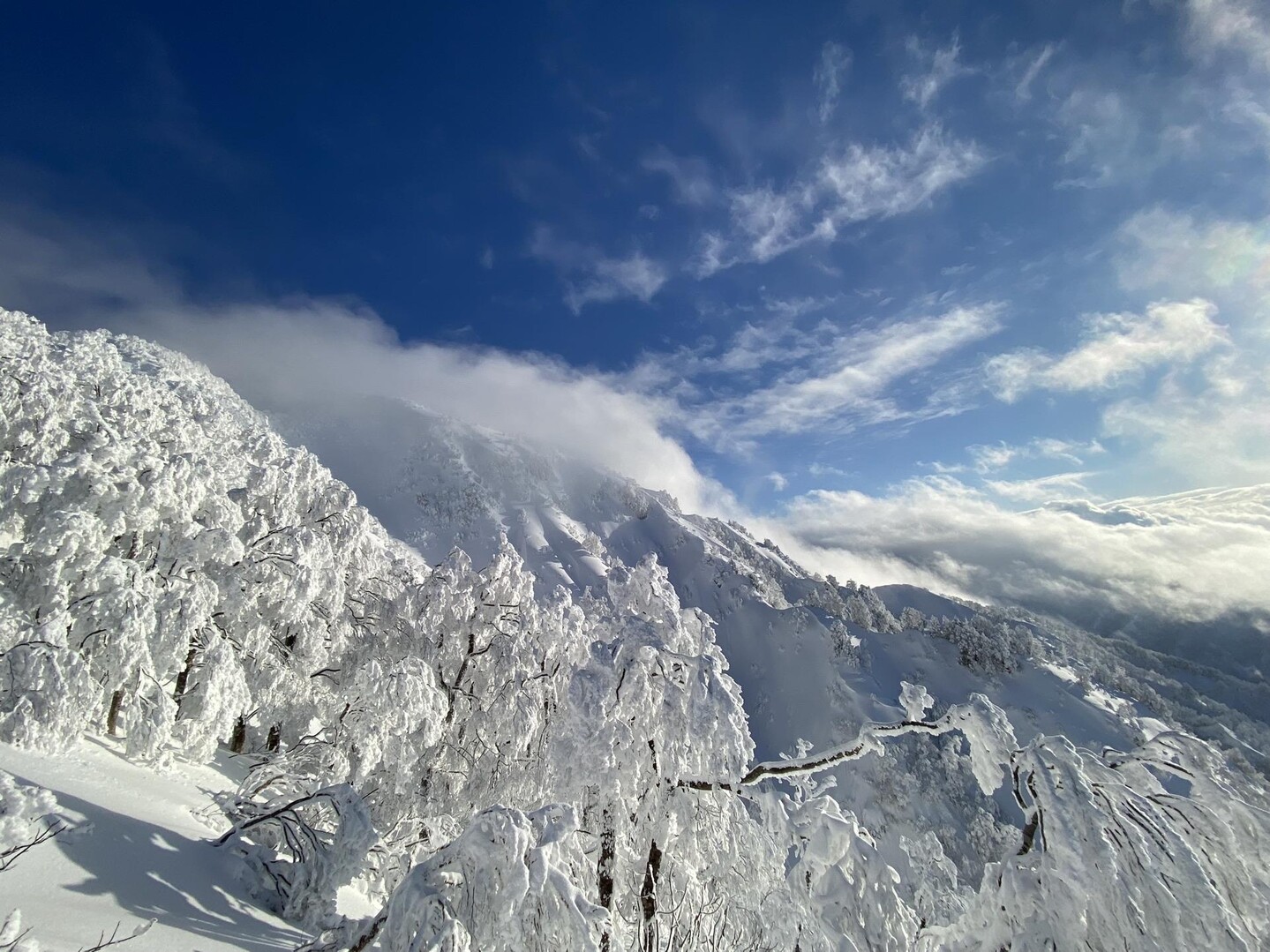 荒島岳 ️ / Genさんの荒島岳の活動日記 | YAMAP / ヤマップ