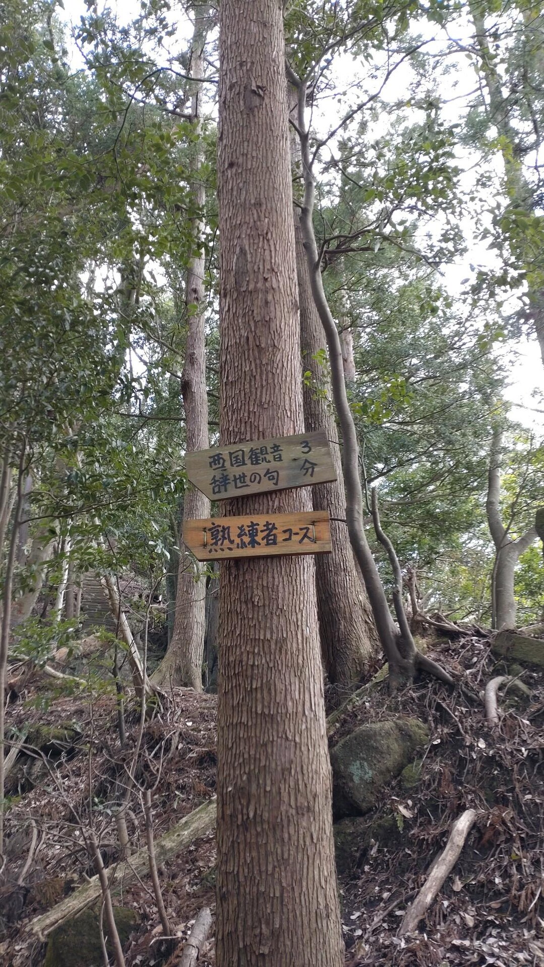 tak&kayさんの投稿したフィールドメモ | YAMAP / ヤマップ