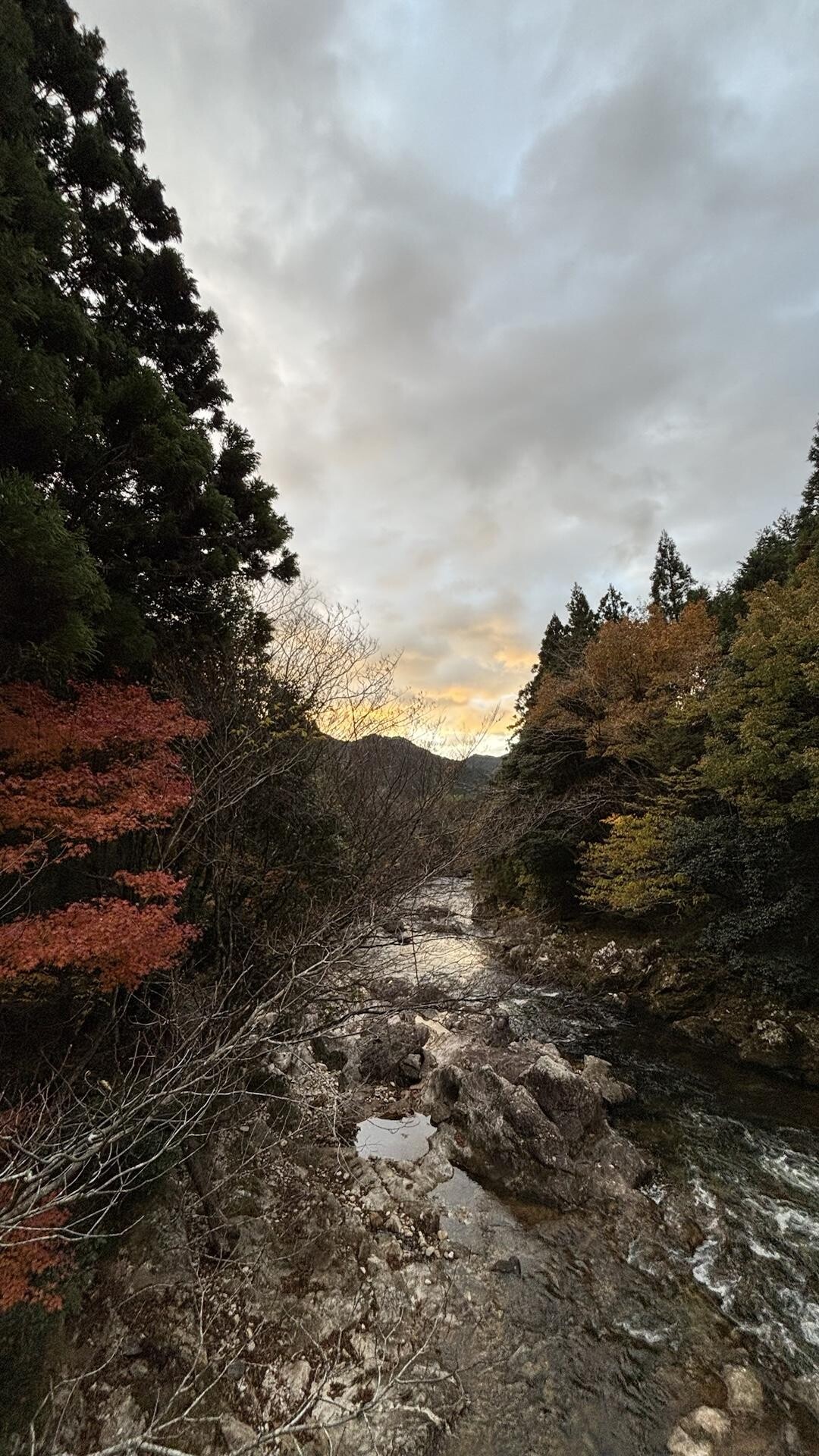 鳳来 ガンコ岩 クライミング / 6DMEさんの明神山（三ツ瀬明神山）の活動データ | YAMAP / ヤマップ