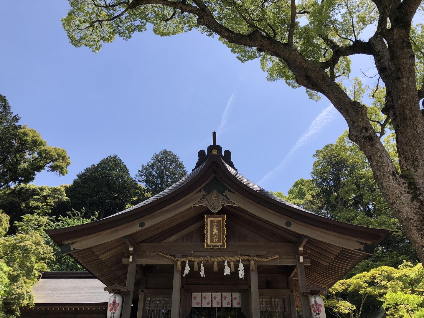 三度目の正直😅で三郡ピークへ愛嶽山⛰・宝満山⛰・仏頂山⛰・三郡山⛰・頭巾山⛰ / おやまーさんの宝満山・三郡山・若杉山の活動データ ...