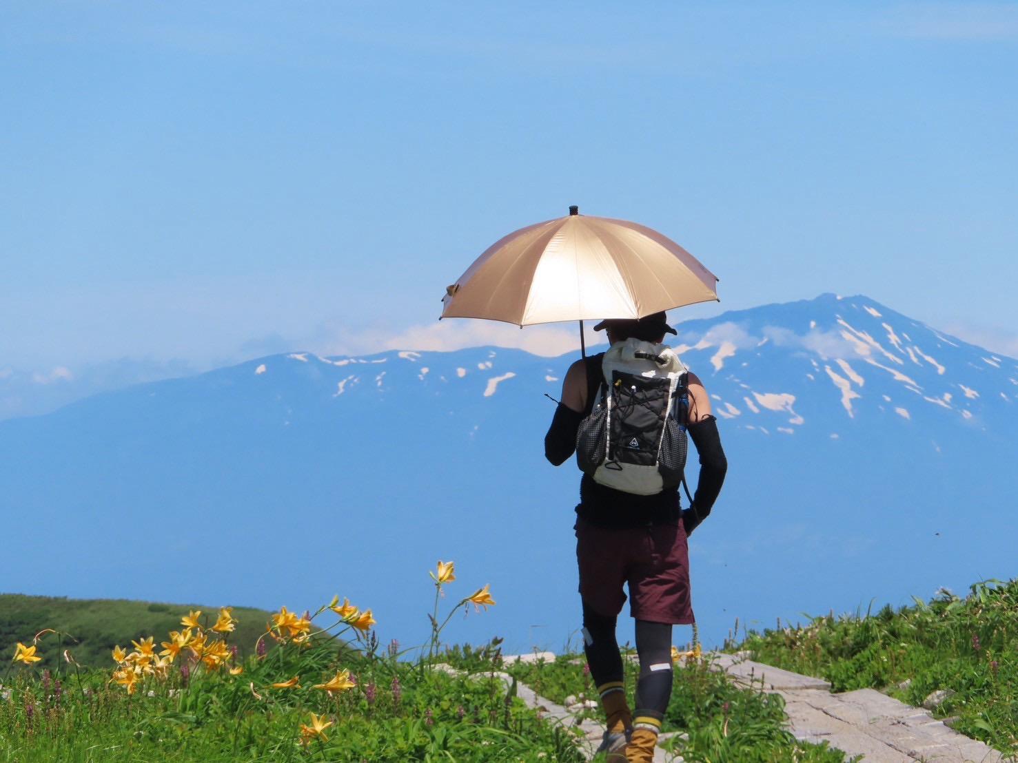 東北遠征 月山・姥ヶ岳 / Reyさんの月山の活動データ | YAMAP / ヤマップ