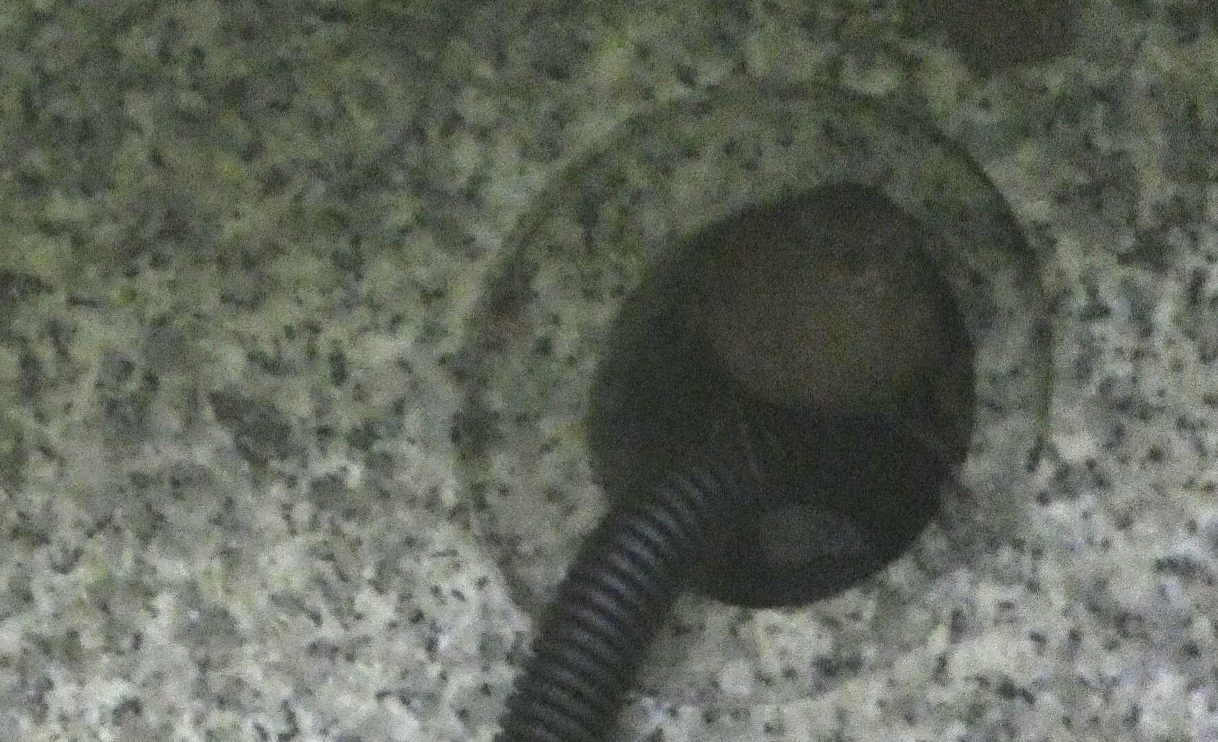 金剛山 もみじ谷⤴ダイトレ⤵ / PAGUさんの葛城修験エリアマップ（金剛山周辺）の活動日記 | YAMAP / ヤマップ