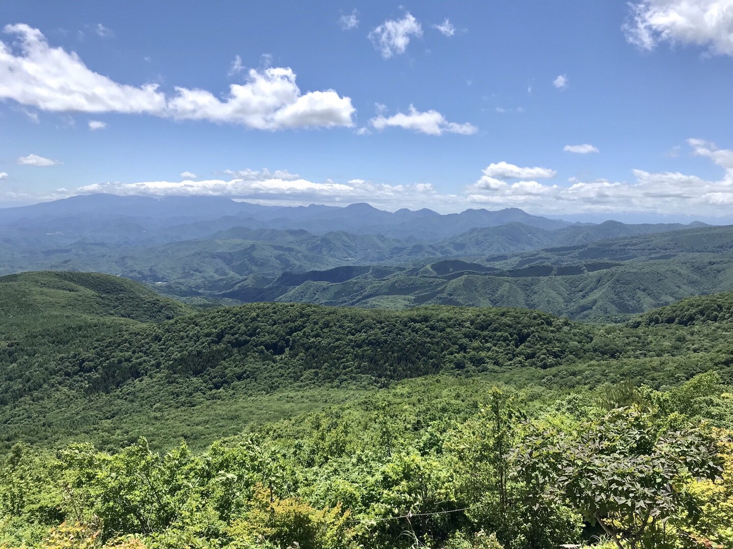 泉ヶ岳(水神コース)→北泉ヶ岳⤵︎黒鼻山方面 / R.ANDOさんの船形山（御所山）・泉ヶ岳・蛇ヶ岳の活動データ | YAMAP / ヤマップ