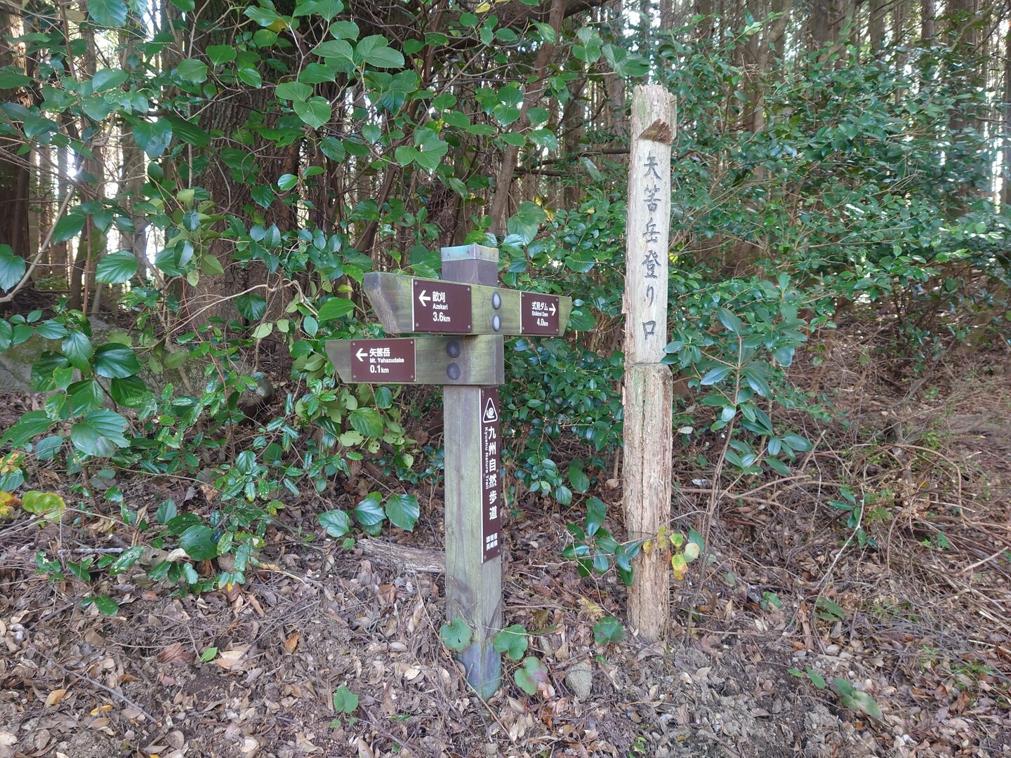 九州自然歩道シリーズ24(長崎市畝刈〜岩屋山〜平和公園〜金比羅山〜諏訪神社) / 岩屋山・舞岳の写真18枚目 / 登り口から0.1kmで山頂 | YAMAP / ヤマップ