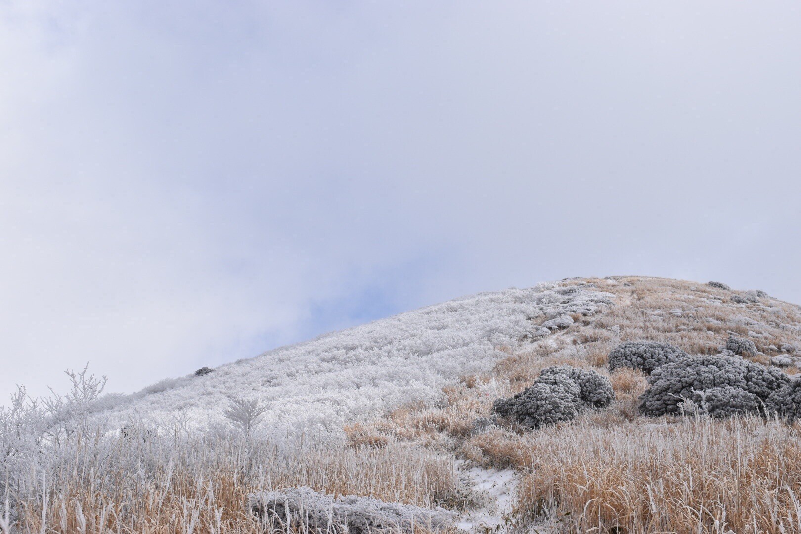 Virgin snow 💕涌蓋山 / 米ちゃんさんの涌蓋山・猟師山の活動データ | YAMAP / ヤマップ