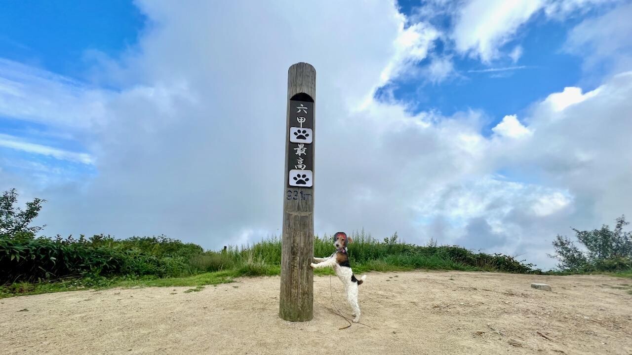 今日の事です 19:00 から NHK... / masa omoさんのモーメント | YAMAP / ヤマップ