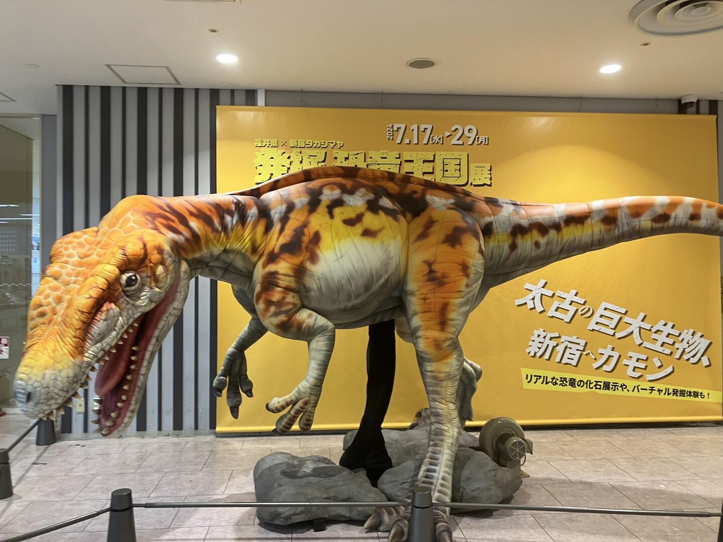 4ヶ月ぶりにやっとやっと4人で会えた😊... / ayanonさんのモーメント | YAMAP / ヤマップ