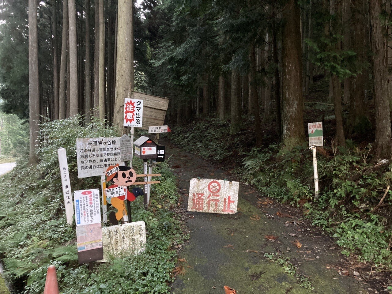 20211023 イブネ・クラシ / Eno-chanさんの綿向山の活動データ | YAMAP / ヤマップ