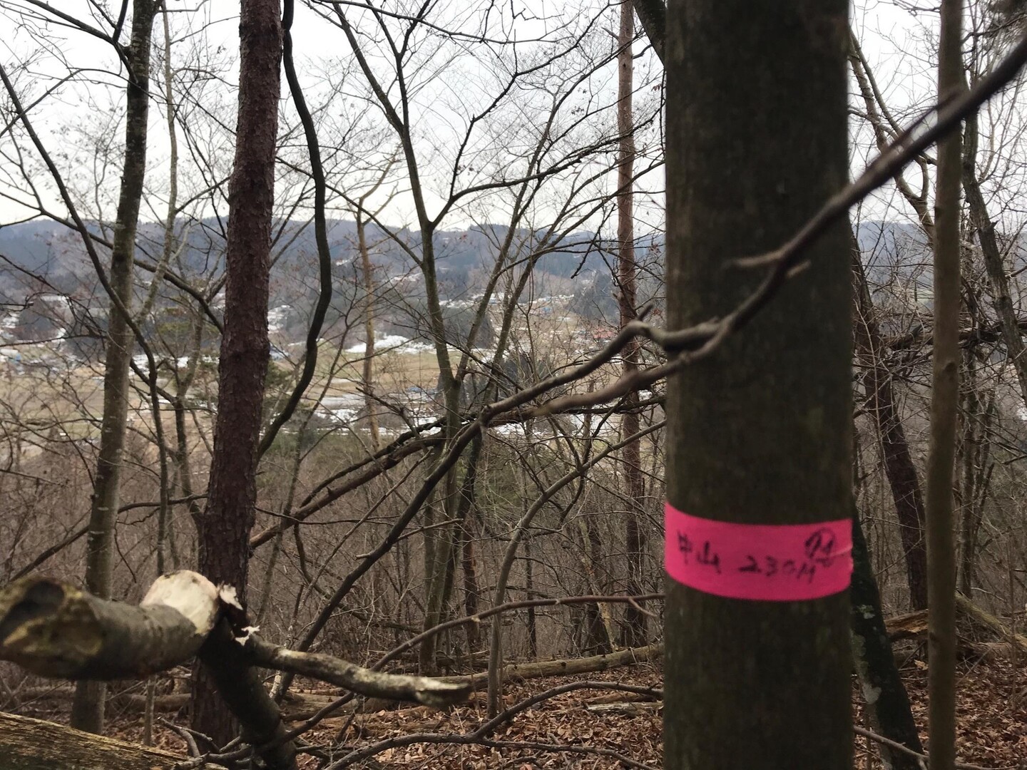 我が町山歩[中山]230m / さちGさんの赤梅山・膝立山の活動データ | YAMAP / ヤマップ