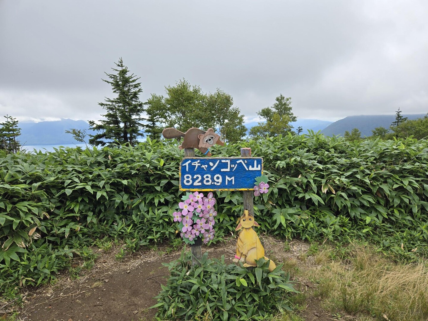 合目標識限定復活のイチャンコッペ山 / せいちゃんさんのイチャンコッペ山の活動日記 | YAMAP / ヤマップ