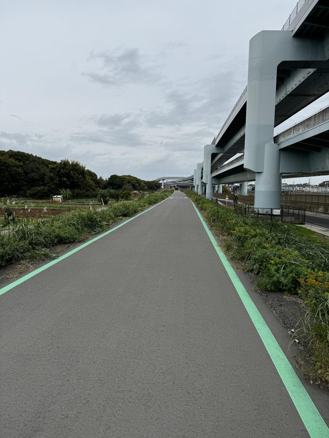 相模川沿いを歩く / ms1967さんのウォーキングの活動データ | YAMAP / ヤマップ