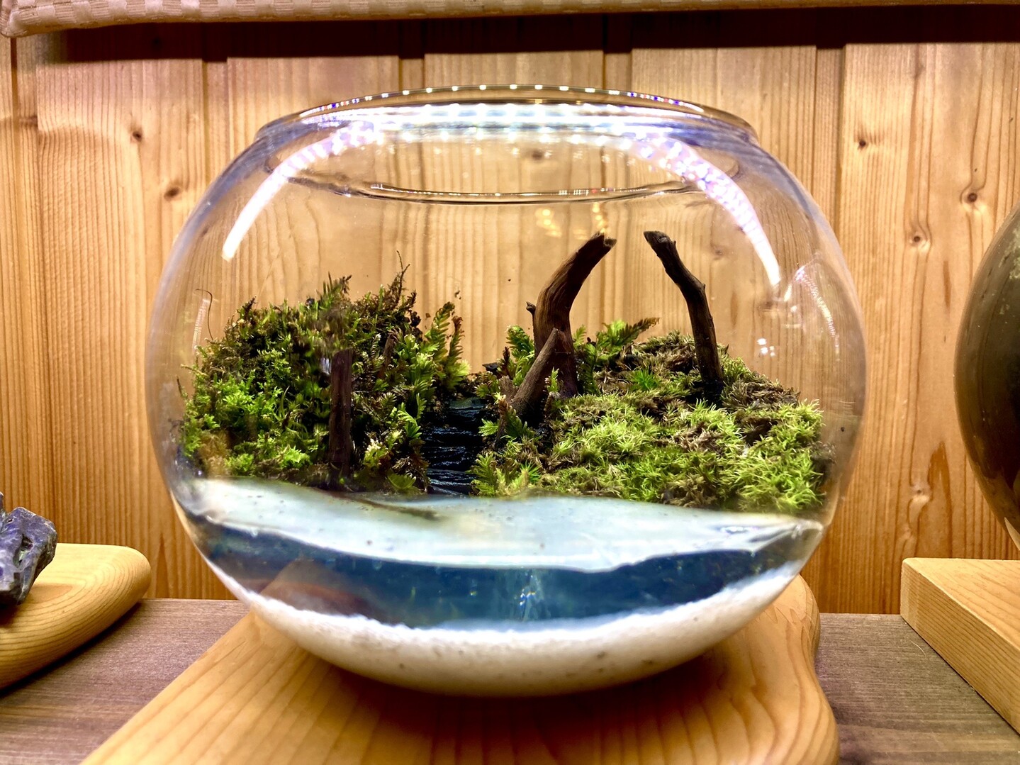 〜山岳レイアウト 苔テラリウム〜 「霧... / けにぃさんのモーメント | YAMAP / ヤマップ