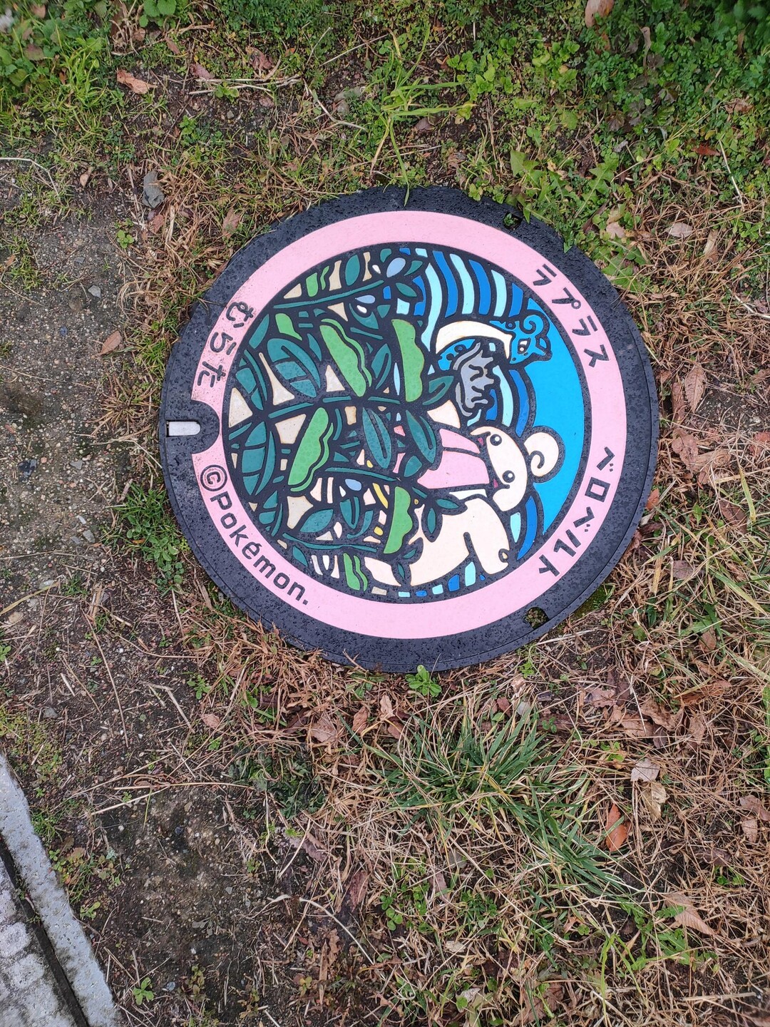 村田オレル / Sumiさんのウォーキングの活動データ | YAMAP / ヤマップ