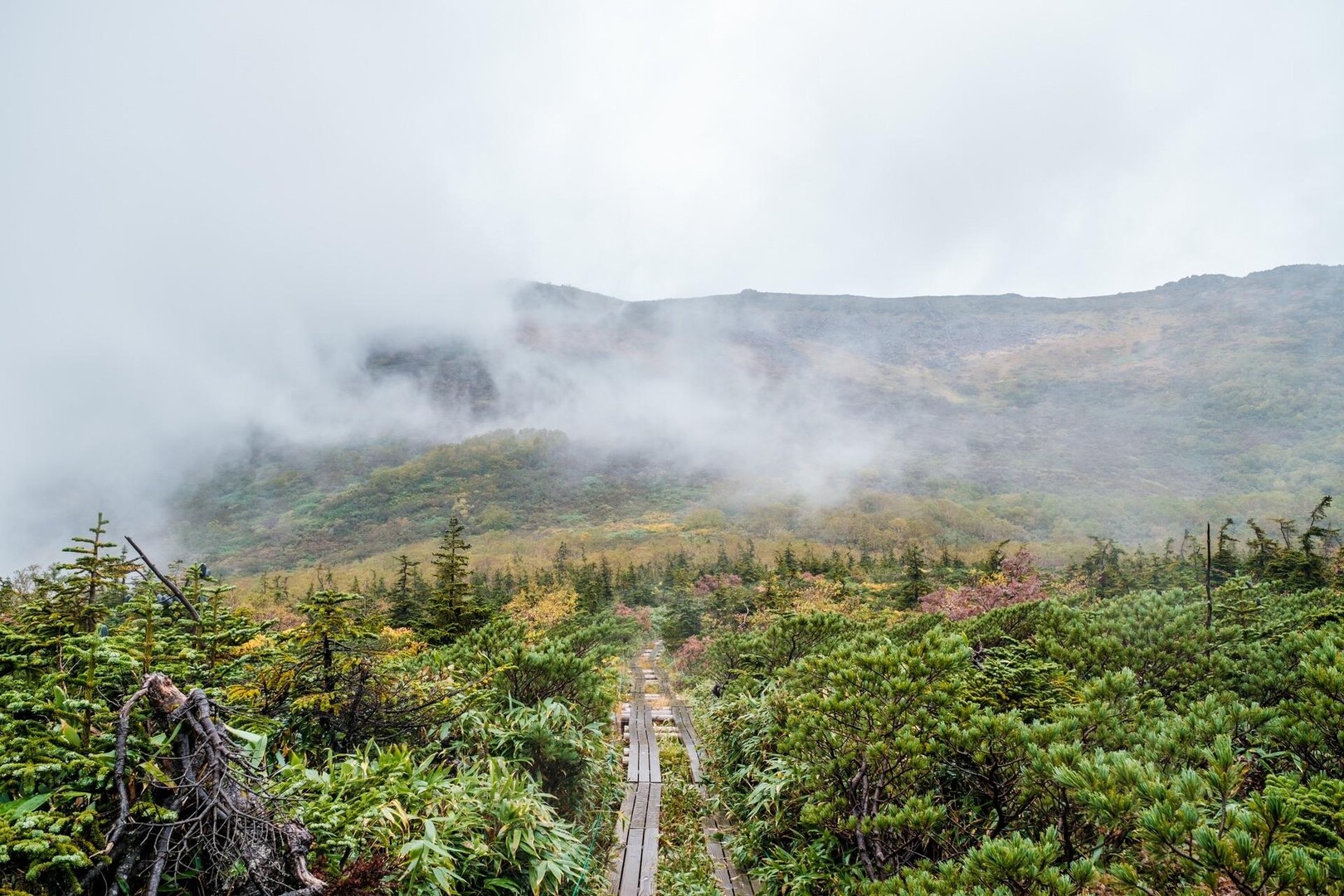 白馬三山縦走断念 / Endo Shinyaさんの白馬岳・小蓮華山の活動データ | YAMAP / ヤマップ