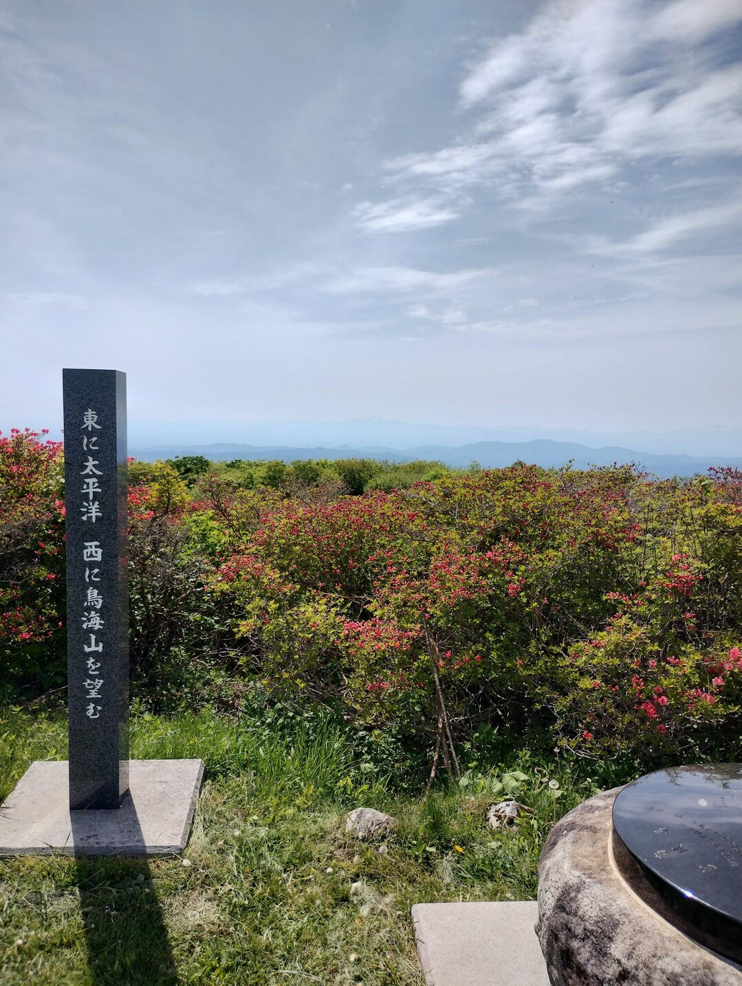 室根山 / MITさんの室根山の活動データ | YAMAP / ヤマップ