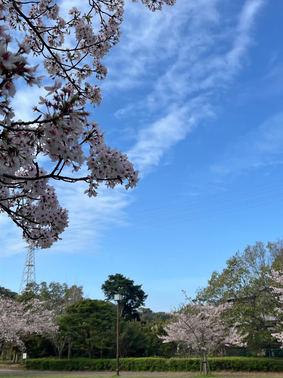 三日月山・白岳・松尾山・立花山 / YASnowさんの立花山・三日月山・城ノ越山の活動データ | YAMAP / ヤマップ