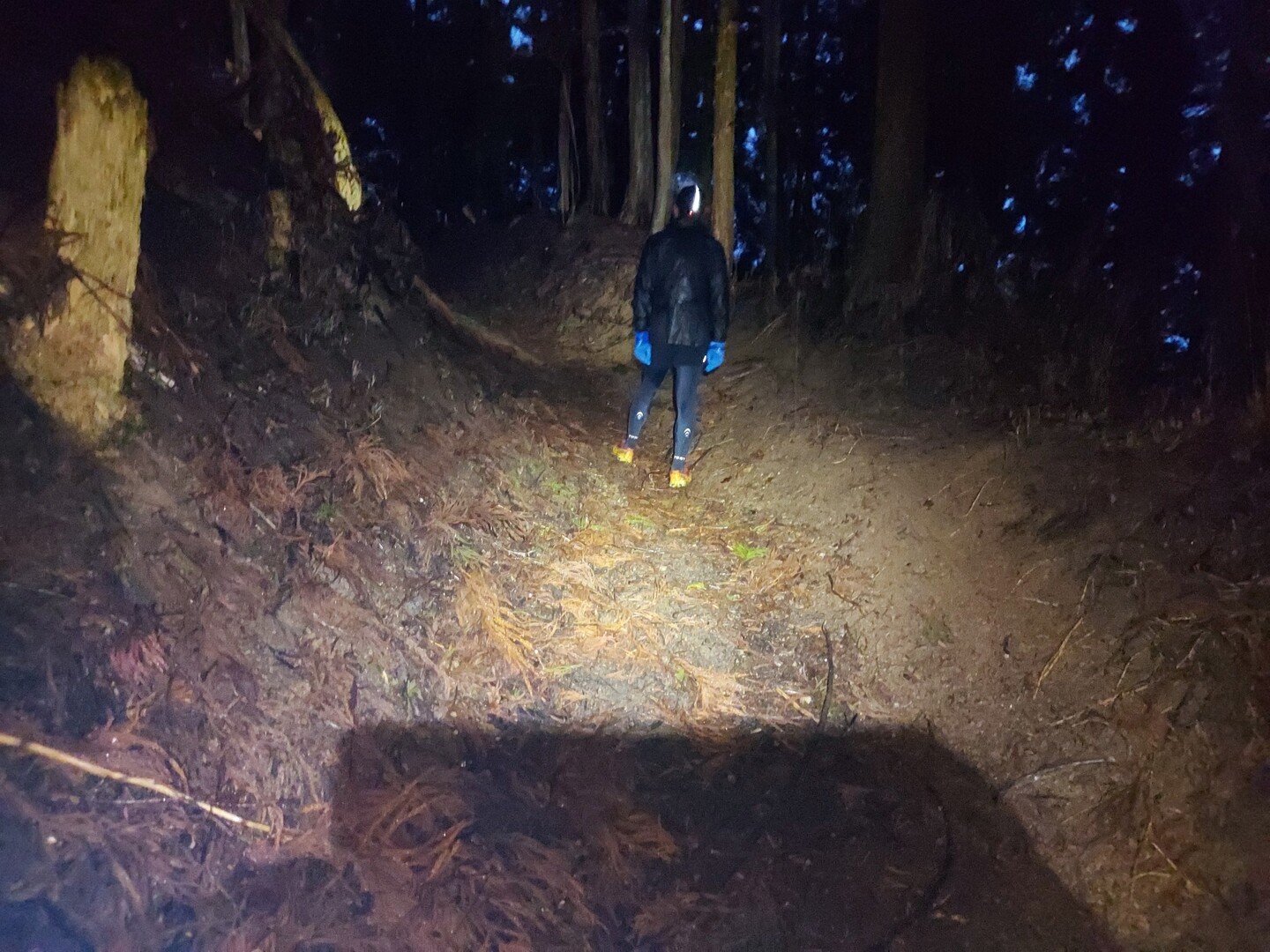 ぬまっちさんとナイトラン☺ 石舞台、本番... / ree-koさんのモーメント | YAMAP / ヤマップ