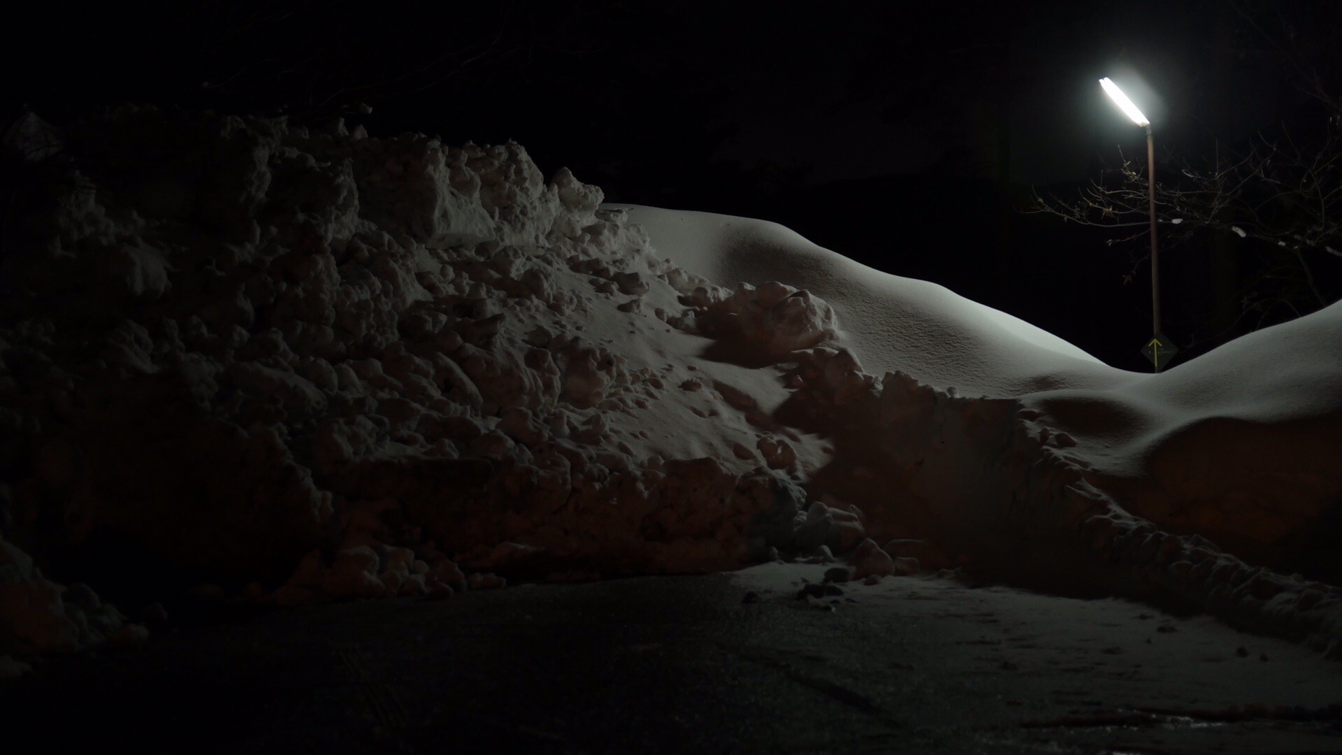 この冬ラッセルの合間に出会った瞬間達 / Senさんのモーメント | YAMAP / ヤマップ