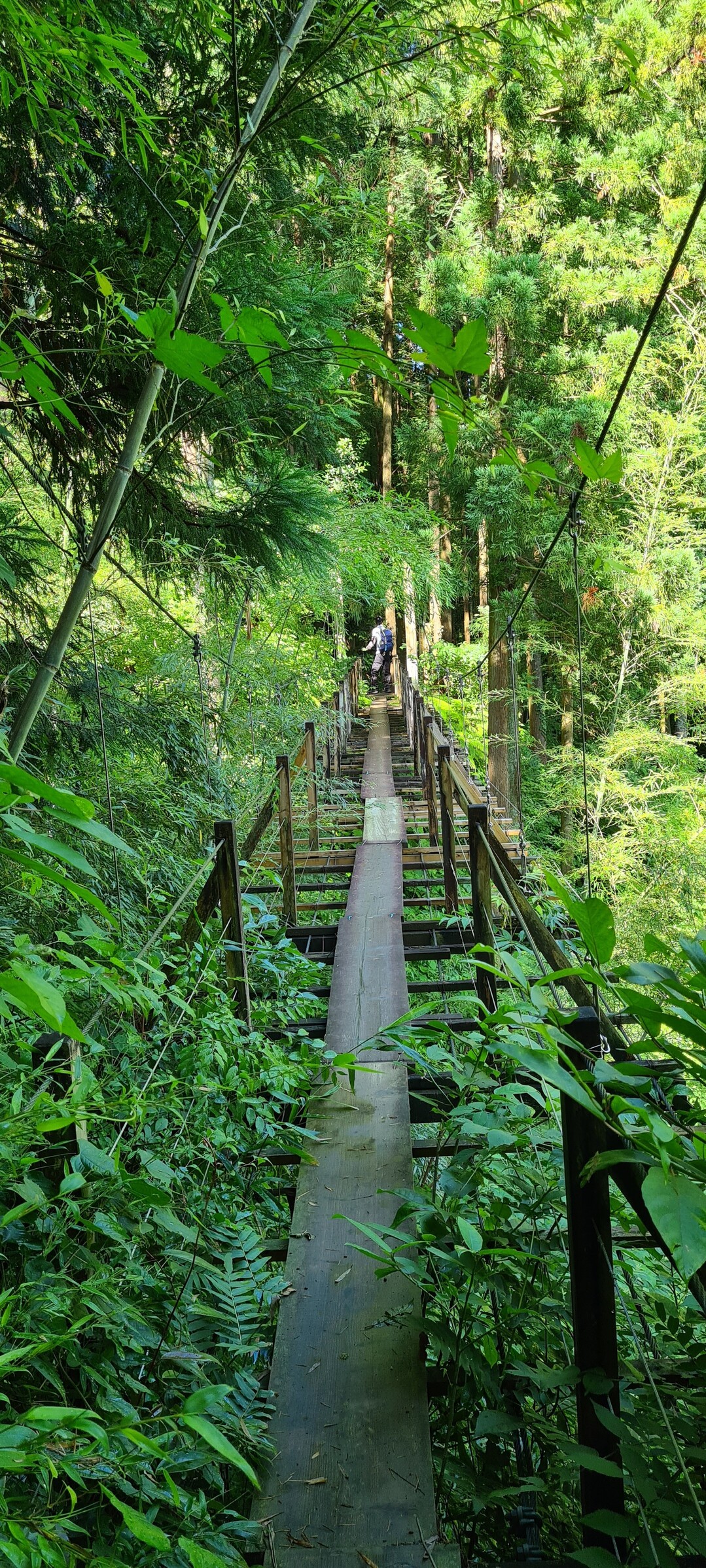 バラの丘公園駐車場から、矢倉山へゴ～♪♪... / konkyunさんのモーメント | YAMAP / ヤマップ