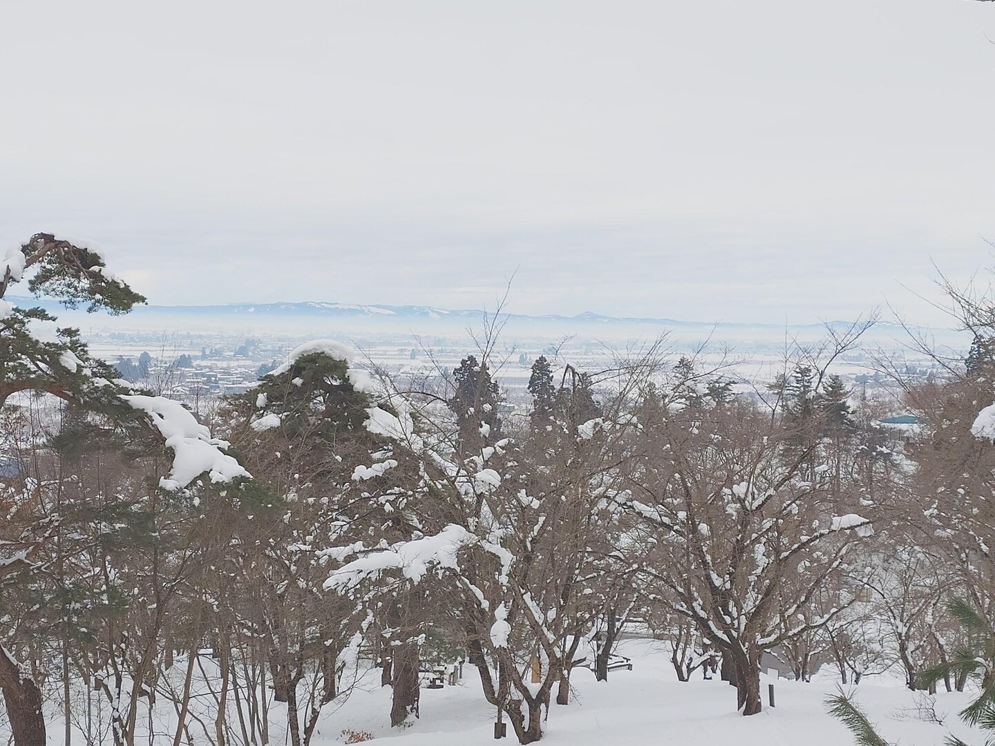 真人山 / Shinさんの金峰山・男亀森・女亀森・真人山の活動日記 | YAMAP / ヤマップ