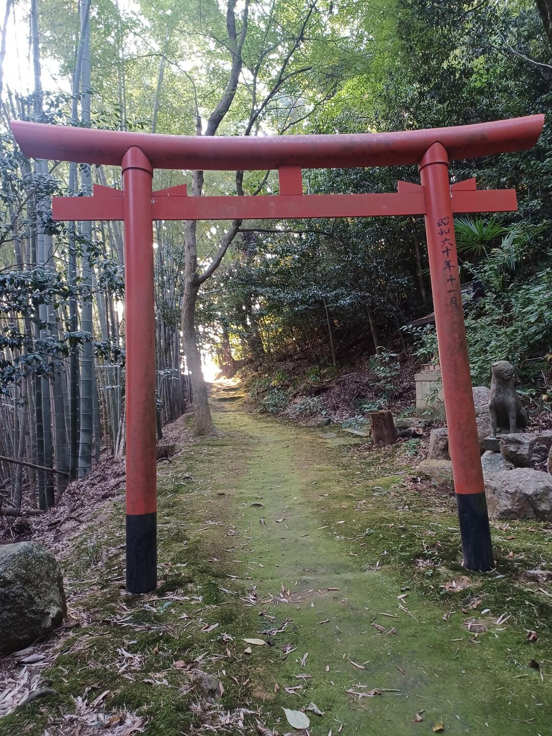 雨壺山 / Azy-mさんの雨壺山の活動データ | YAMAP / ヤマップ