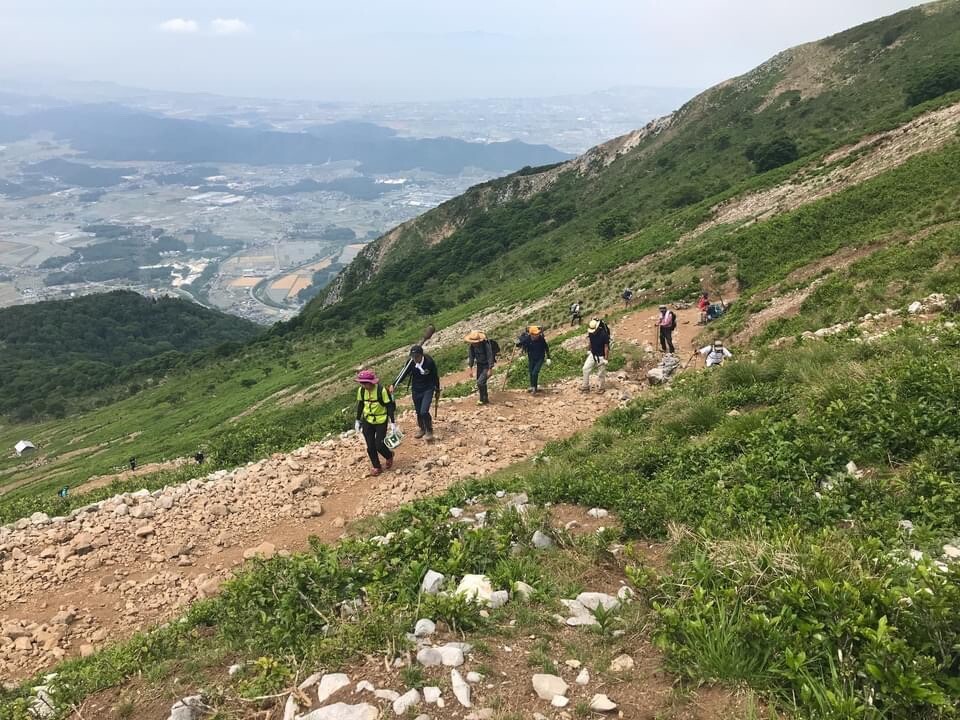 R4.6.5 伊吹山登山道整備作業 伊吹... / オレンジリボンさんのモーメント | YAMAP / ヤマップ