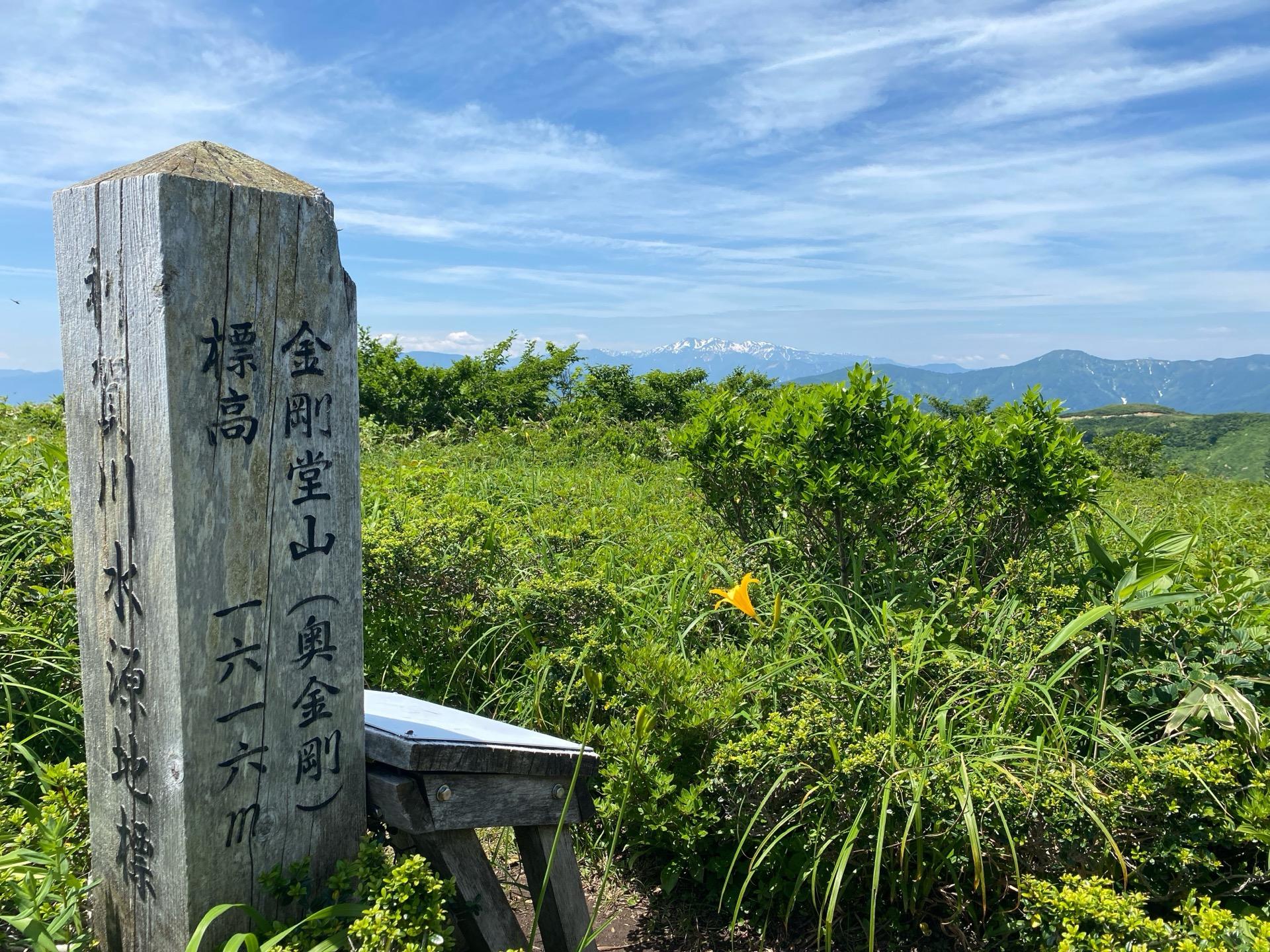 金剛堂山・中金剛堂山・奥金剛堂山 / hassyさんの金剛堂山の活動データ | YAMAP / ヤマップ
