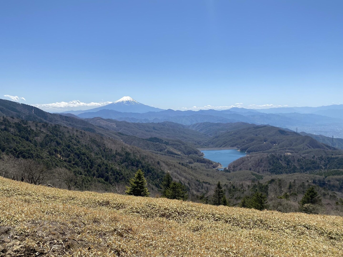 大菩薩嶺 / miiさんのウォーキングの活動データ | YAMAP / ヤマップ