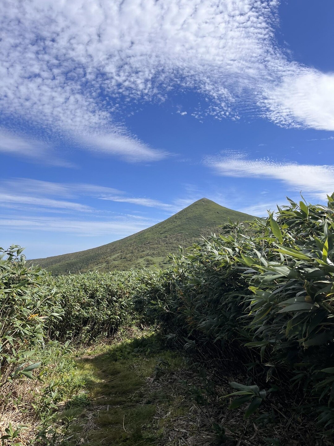 前天塩岳・天塩岳・西天塩岳・天塩円山 / zect (ゼクト)さんの天塩岳の活動日記 | YAMAP / ヤマップ
