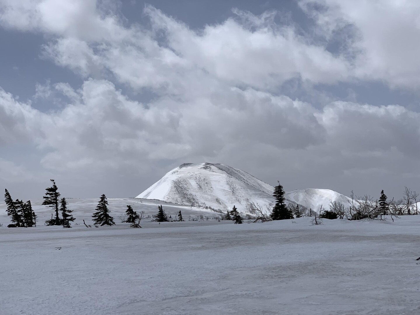 朝喝で朝里岳BC / bono.さんの余市岳・定山渓天狗岳の活動データ | YAMAP / ヤマップ