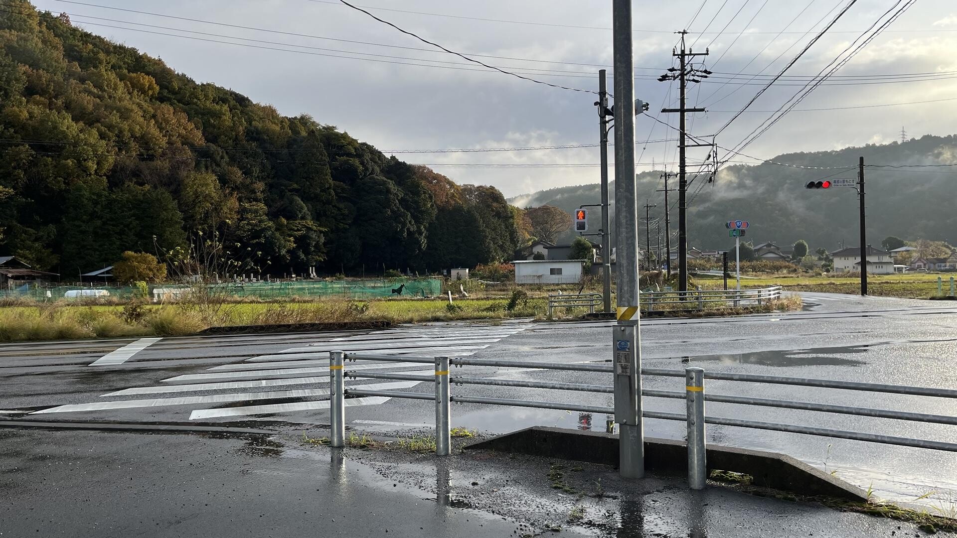 山城トレイル「MINO」前半 / たけさんの文殊山の活動データ | YAMAP / ヤマップ