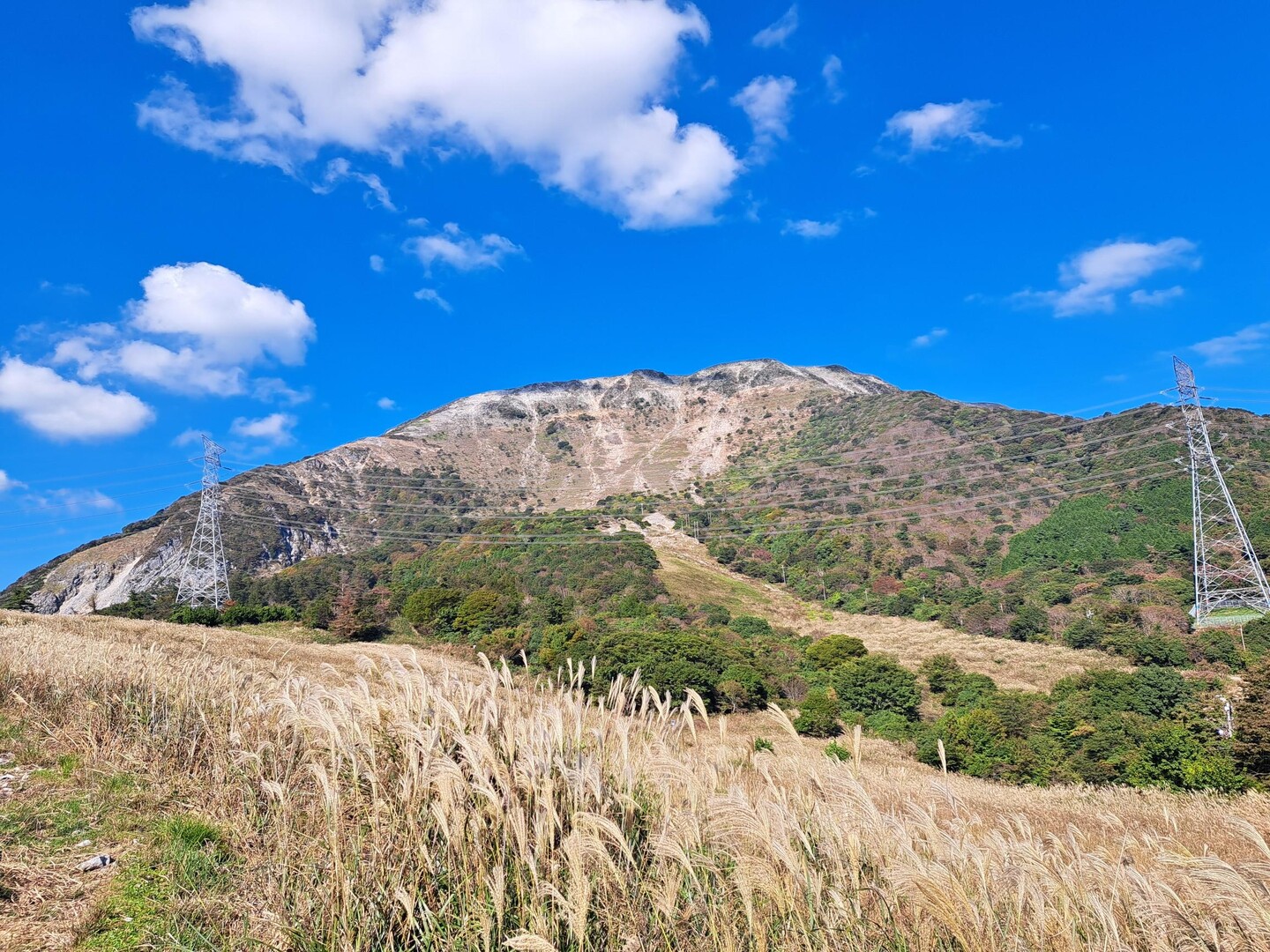 伊吹山3合目 / Daisuke＠7/14 OSJ ONTAKE100kmさんの伊吹山・伊吹高原・御座峰の活動データ | YAMAP / ヤマップ