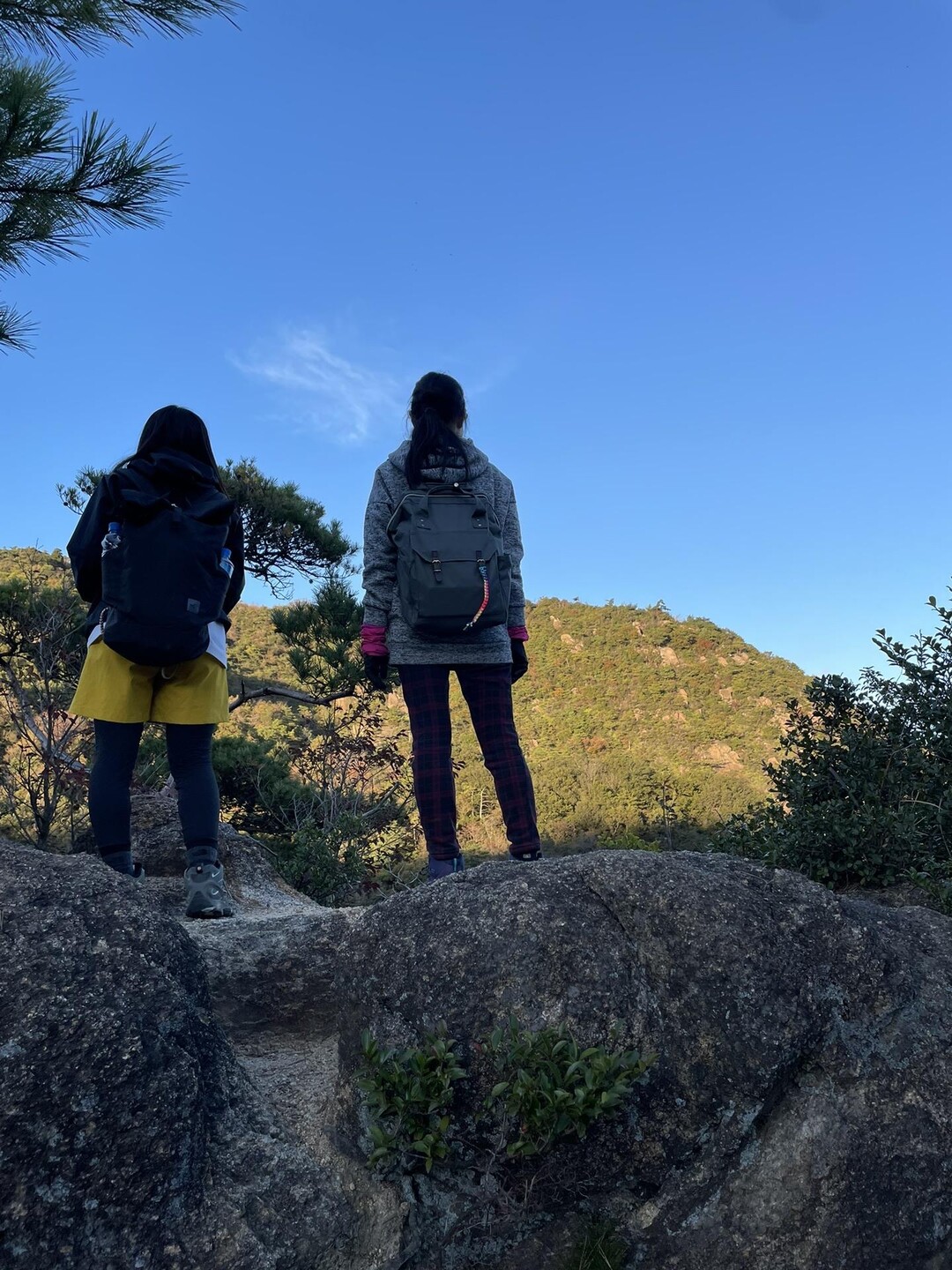 この時に見てたあっちの山に今日は連れて行... / あやさんのモーメント | YAMAP / ヤマップ