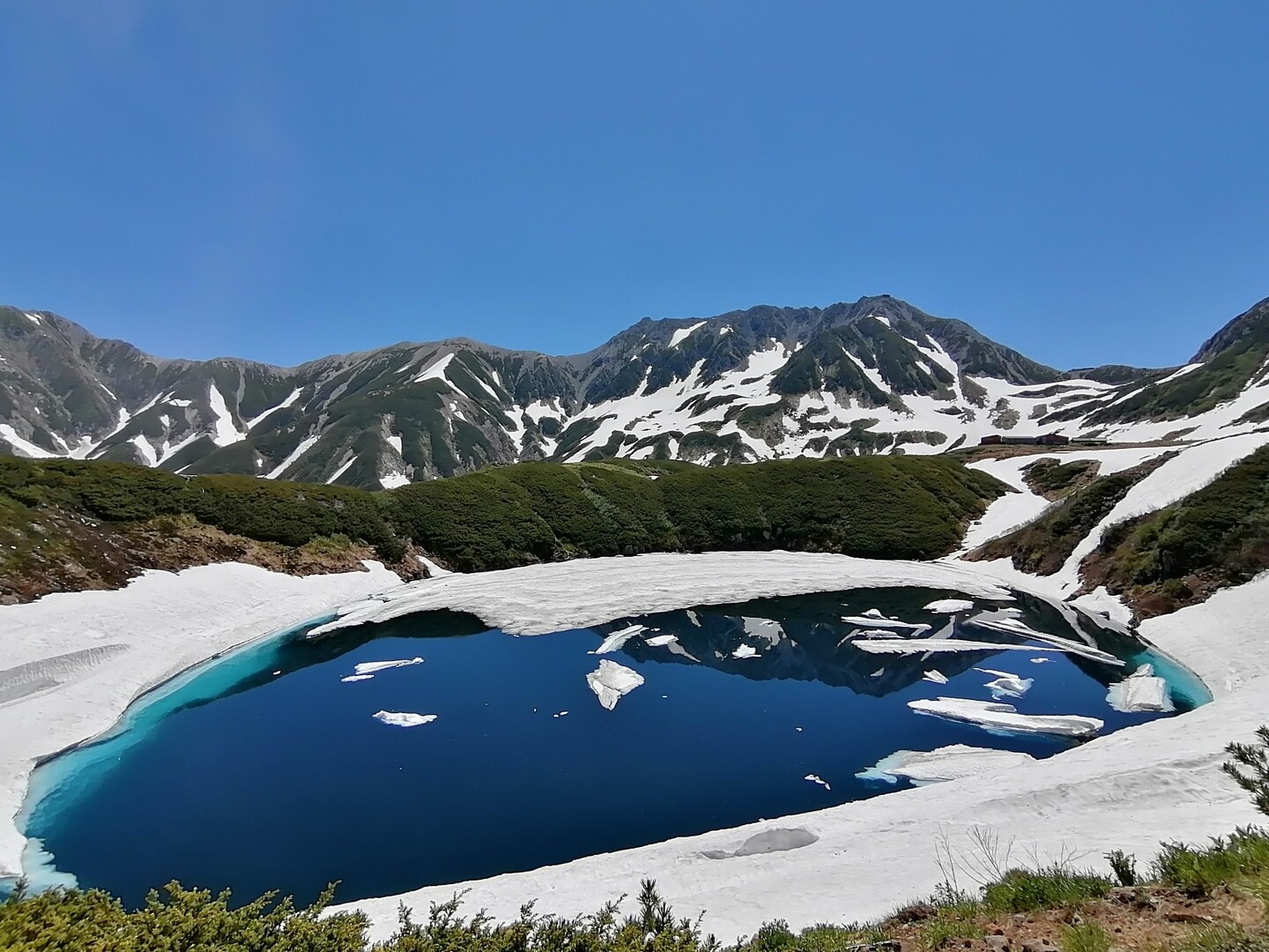 立山🌼初夏キャン / AKOさんの立山・雄山・浄土山の活動データ | YAMAP / ヤマップ