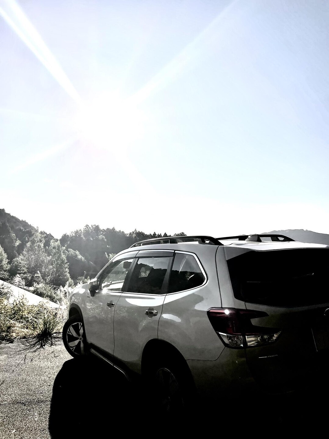 煩悩と菩提の狭間…… / ほの＆ひろ&BPさんの烏岳の活動データ | YAMAP / ヤマップ