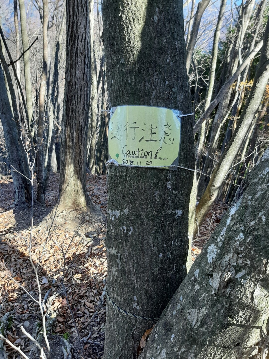 Minoruさんの投稿したフィールドメモ | YAMAP / ヤマップ