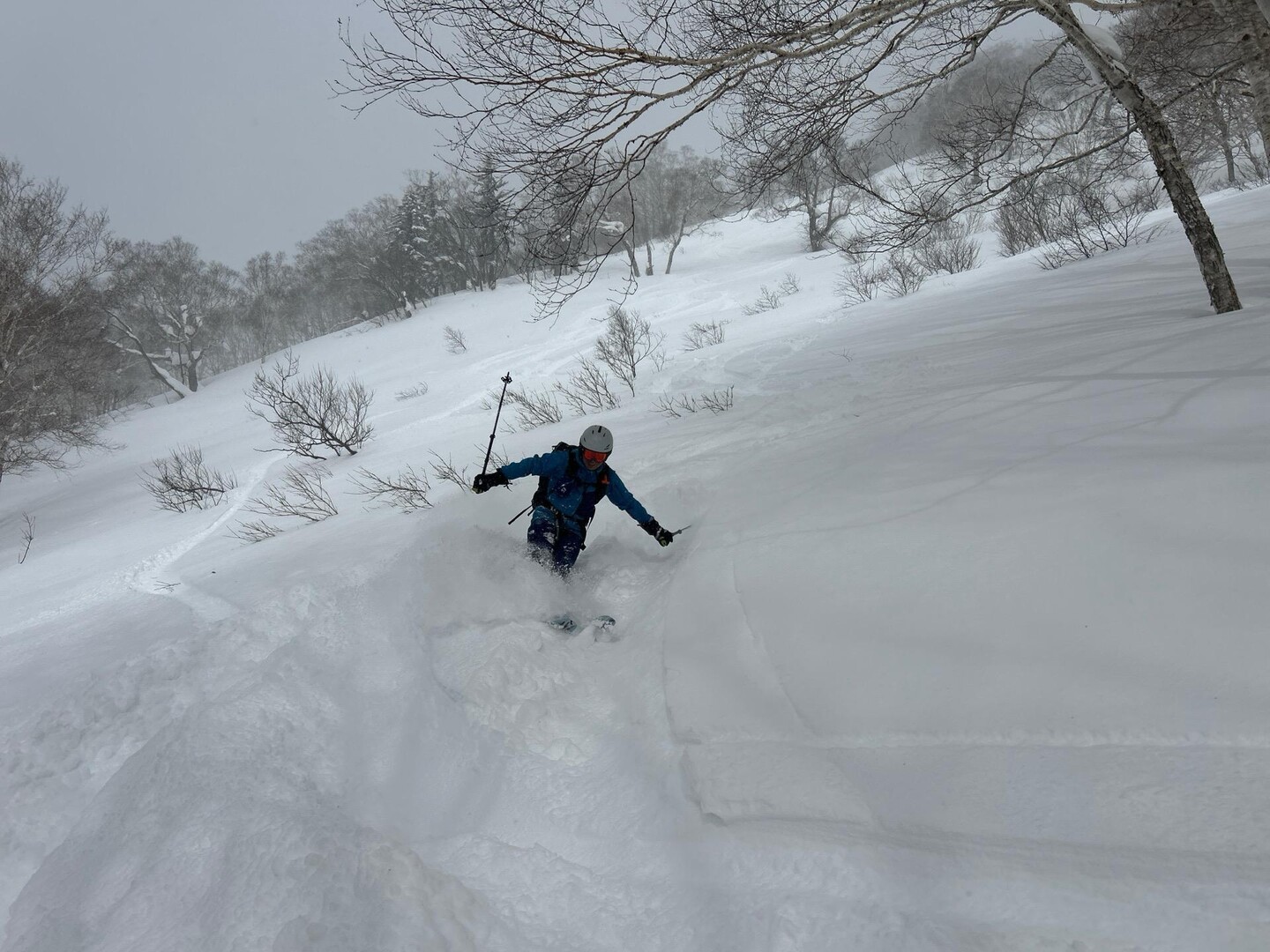 k-sukeレーダー🌞当たりました🤣 羊蹄山（蝦夷富士）墓地の沢⛷️ / HIDEさんの羊蹄山（蝦夷富士）の活動データ | YAMAP / ヤマップ