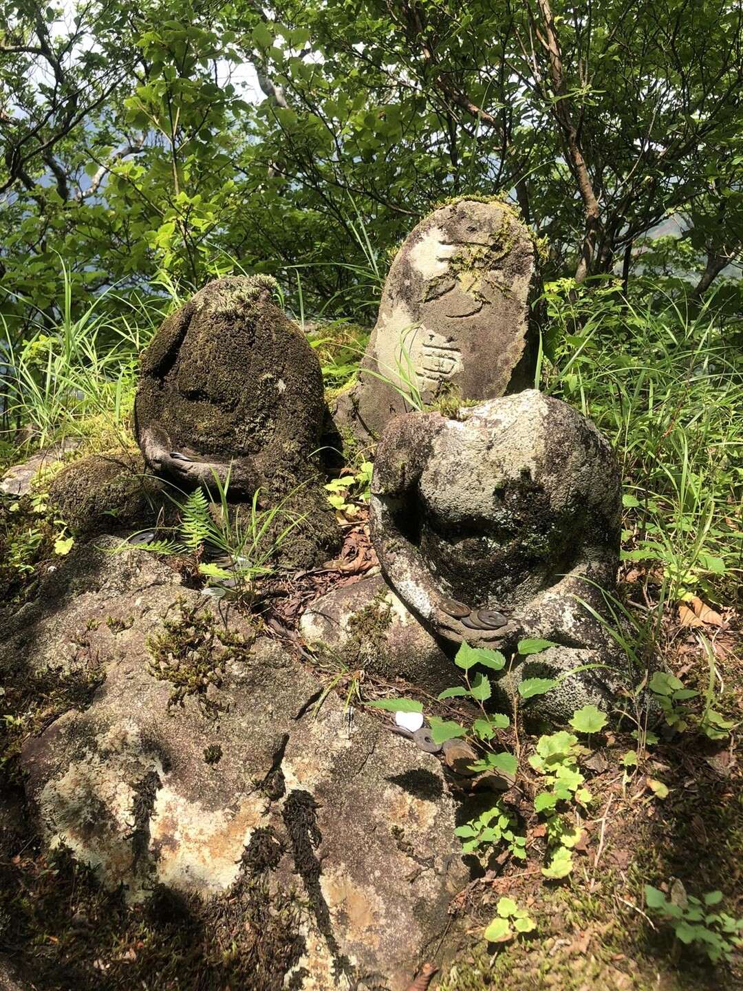 kcocoさんの投稿したフィールドメモ | YAMAP / ヤマップ